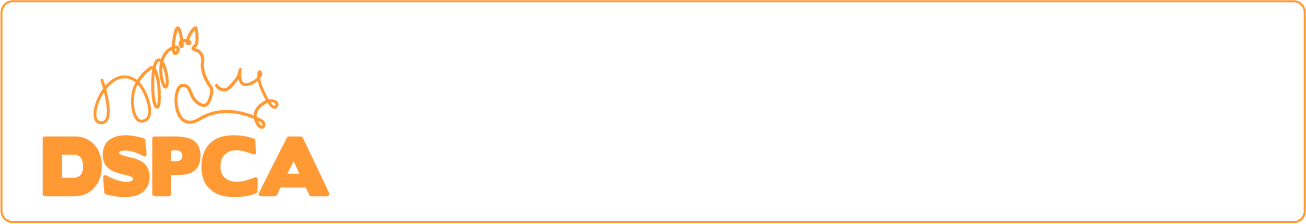 DSPCA Pet Hotels and Doggie Daycare